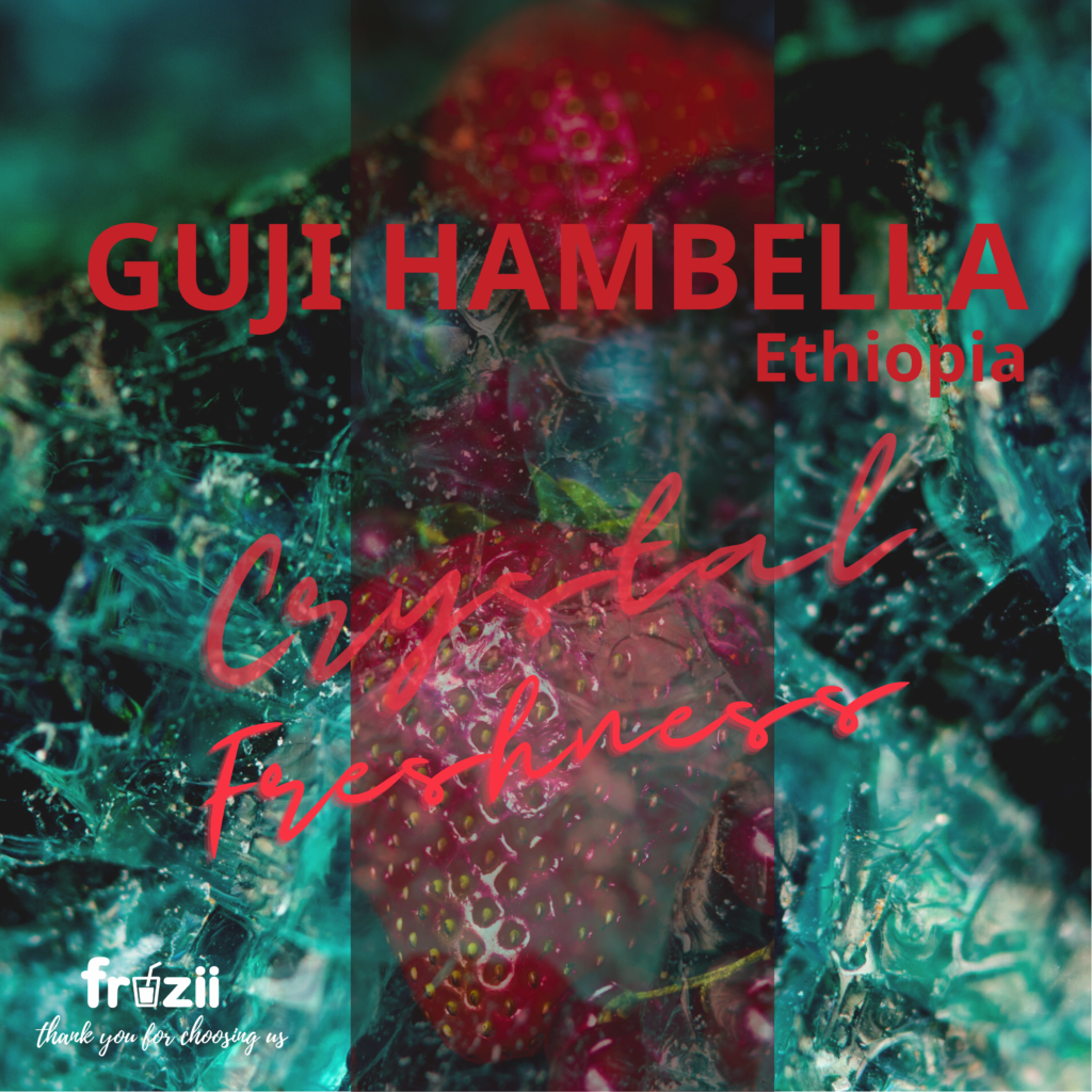 Cà phê đặc sản Ethiopia Guji Hambella - fruzii.com